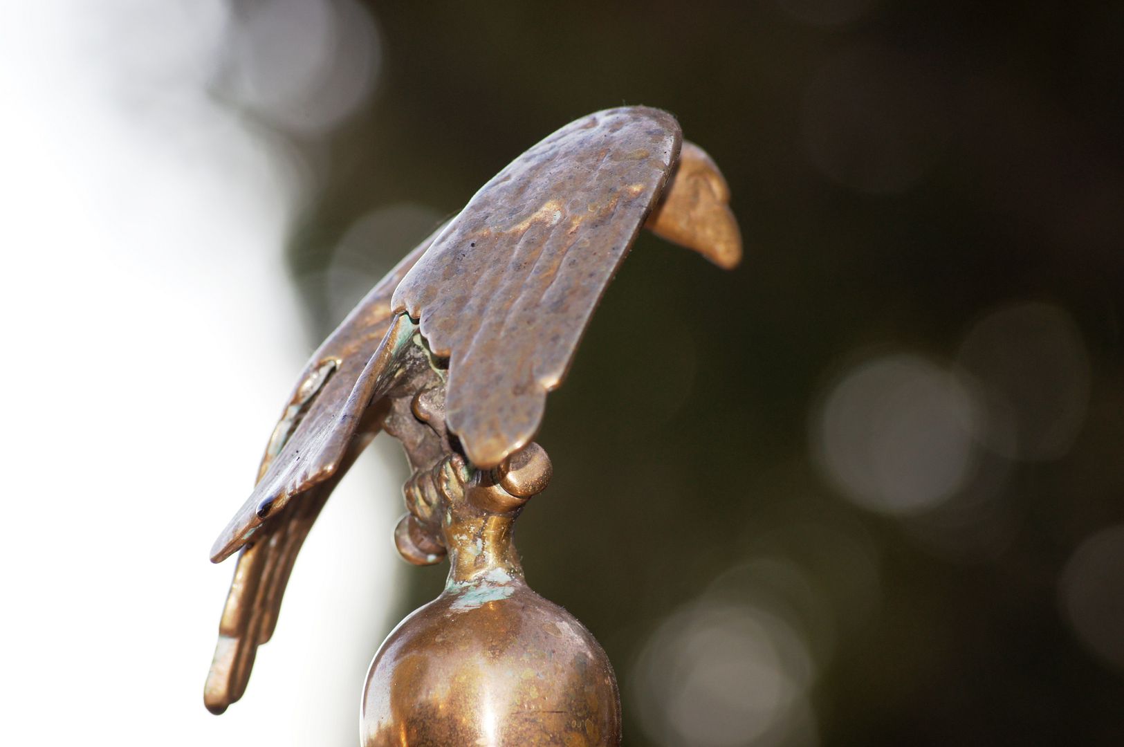 Disneyland Eagles - Disney Railroads Discussion Board