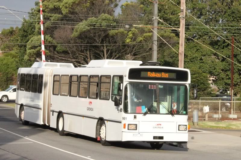 Bus 981 Makes Its Debut!!!