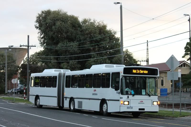 Bus 981 Makes Its Debut!!!