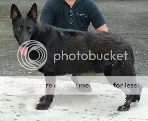 Apollo | Smith & Wesson Forum – The Community for S&W Collectors and ...