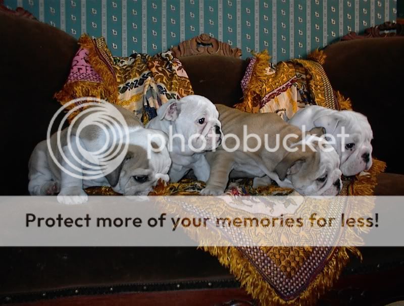 Stella and her daddy, Floyd