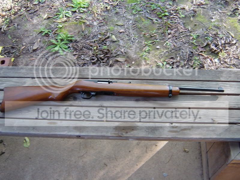 Carbine Project Rifle | Rimfire Central Firearm Forum