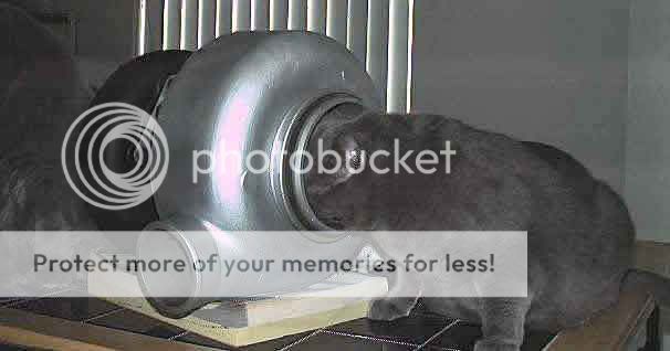 new turbo | VW Beetle Forum