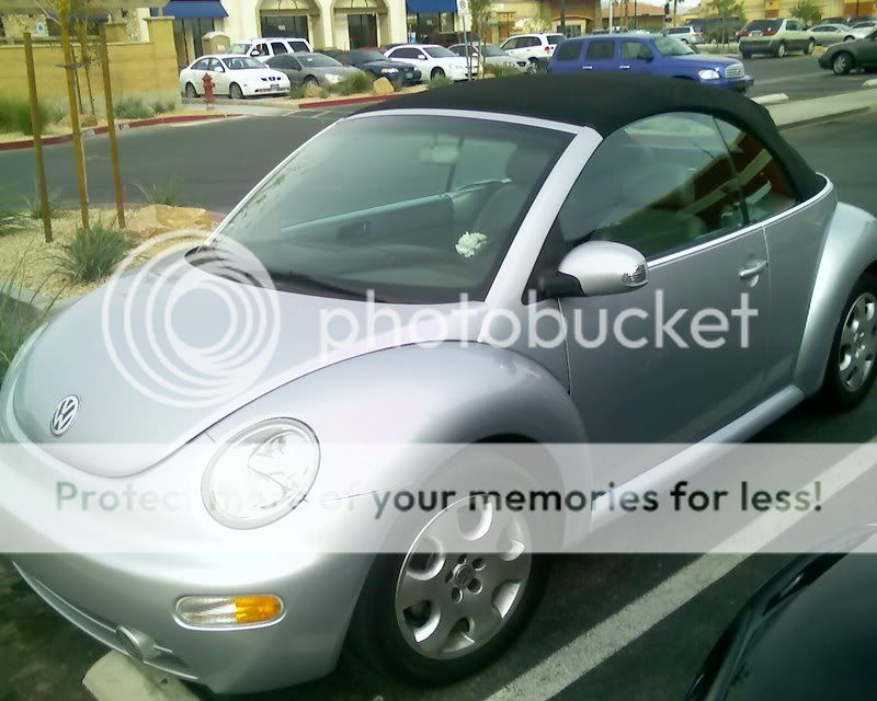 Scruffer's NBC | VW Beetle Forum